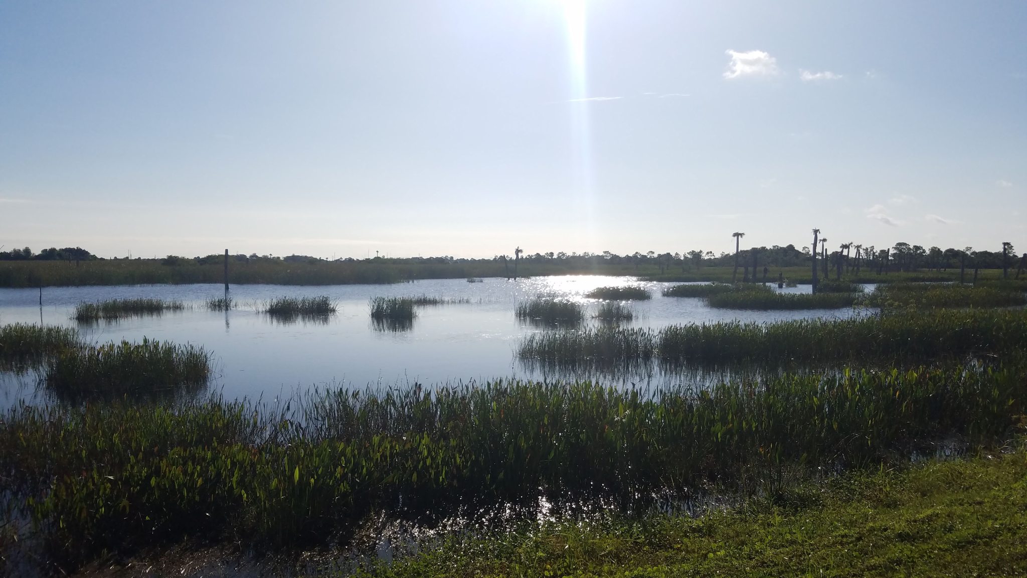 Viera Florida Where is Viera? – Cocoa Beach Insider